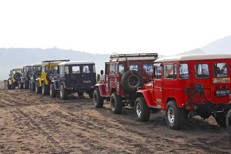 Mount Bromo Breathtaking Experience Sunrise Jeep Tour - The Sum Up