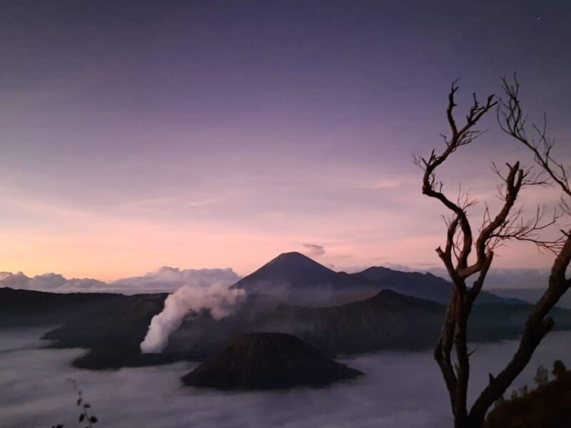 Mount Bromo & Ijen Open Trip 3D2N All Inclusive - Authentic Experiences and Traveler Insights