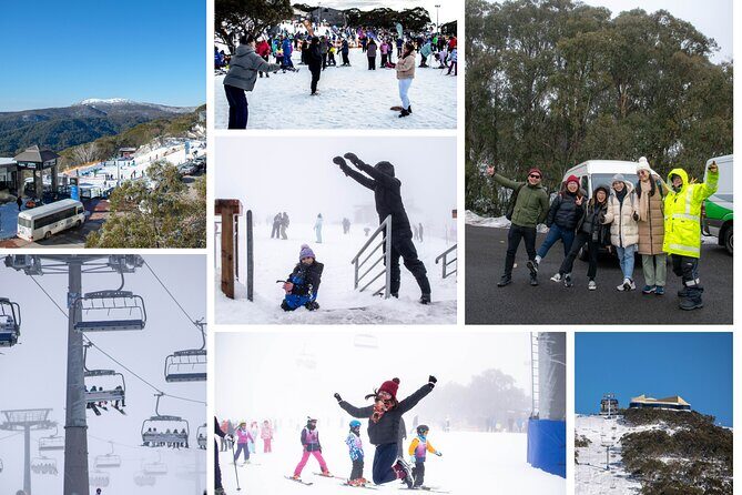 Mount Buller 1 Day Guided Tour - What the Tour Includes and What It Doesn’t