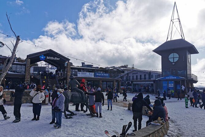 Mount Buller 1 Day Guided Tour - The Value Proposition