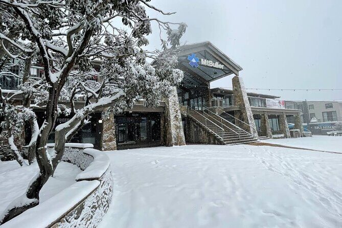 Mount Buller Best Private Ski Tour - The Price: Is It Worth It?