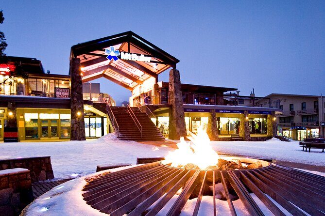 Mount Buller Sightseeing Tour - Key Points