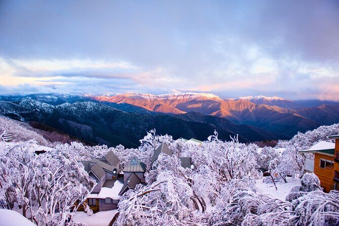 Mount Buller Sightseeing Tour - The Sum Up
