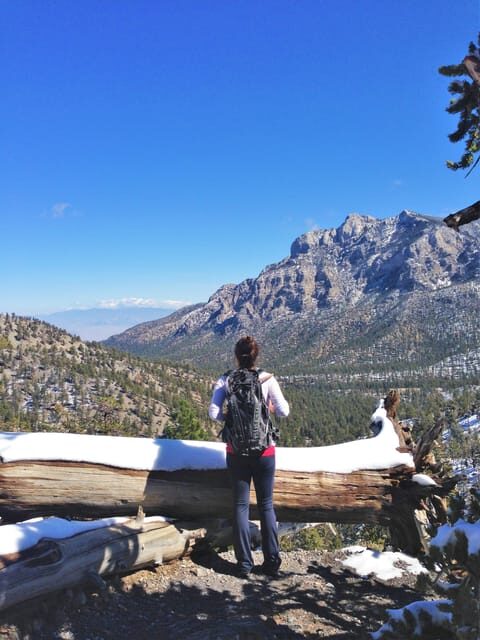Mount Charleston Driving Adventure: Escape to Nature - An In-Depth Review of the Experience
