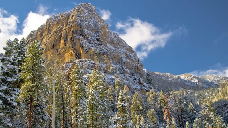 Mount Charleston Driving Adventure: Escape to Nature - Final Thoughts