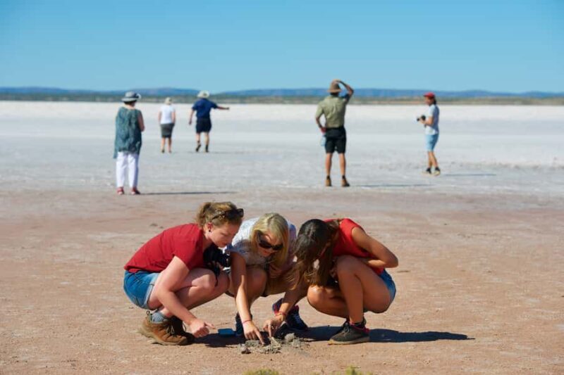 Mount Conner 4WD Small Group Tour from Ayers Rock - An Authentic Outback Journey: What to Expect