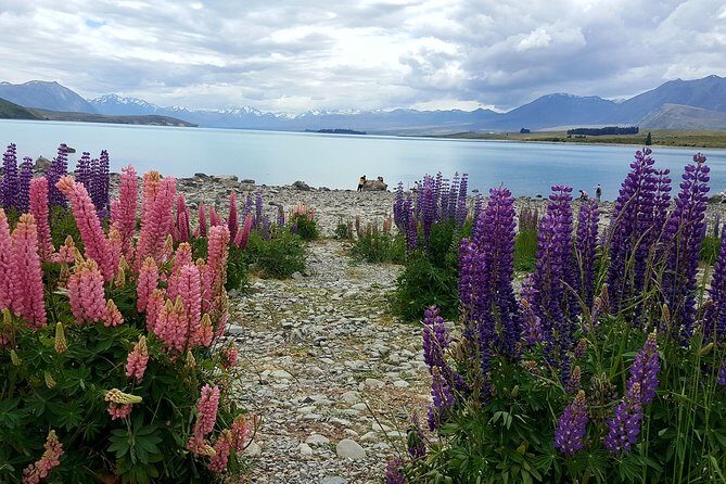 Mount Cook, Lake Tekapo and Tasman Glacier Tour from Christchurch - FAQs