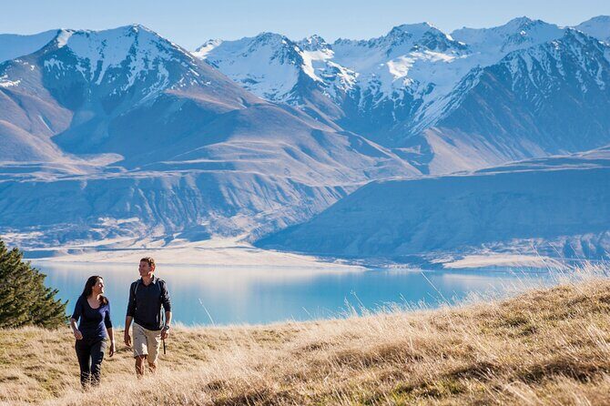Mount Cook Small Group Scenic Tour - Lake Pukaki and the Spectacle of Mount Cook
