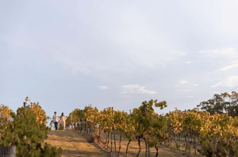 Mount Cotton: Winery Tour & Tasting with 3-Course Lunch - Practical Details & Considerations