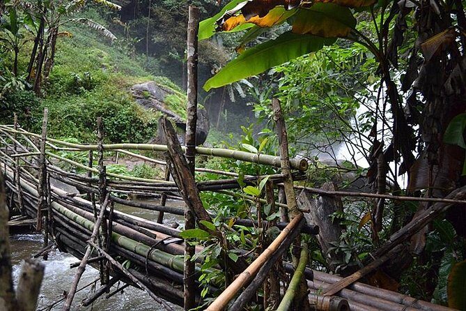 Mount Doi Inthanon National Park Sunrise and Hiking - A Deep Dive into the Doi Inthanon Sunrise and Hiking Tour