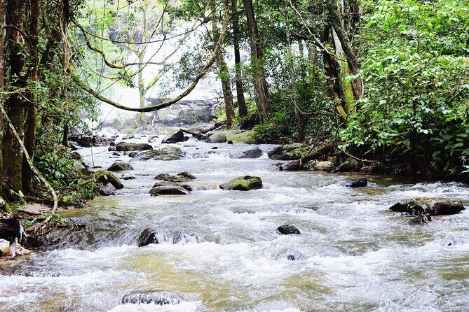 Mount Doi Inthanon National Park Sunrise and Hiking - Possible Drawbacks and Considerations