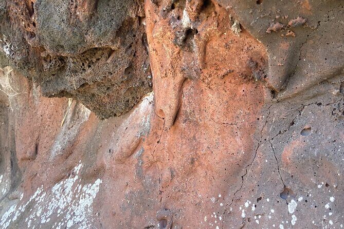 Mount Eccles Volcano  Budj Bim National Park - Who Will Love This Tour?