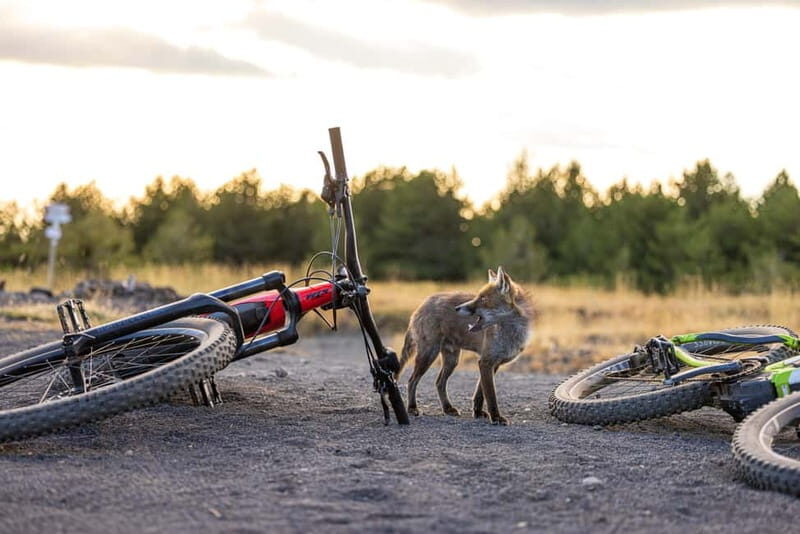 Mount Etna: All around on E-Bike - Who Should Consider This Tour?