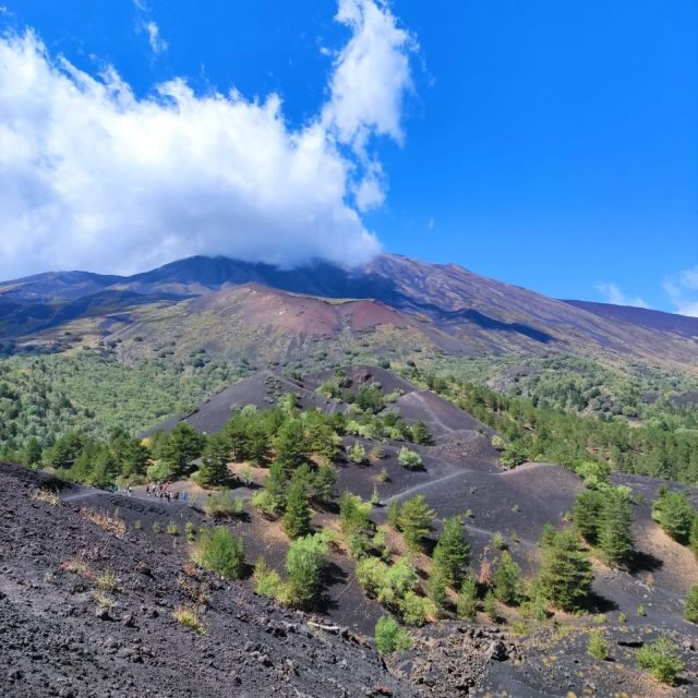 Mount Etna and Alcantara Gorges Day Trip - Who Will Love This Tour?