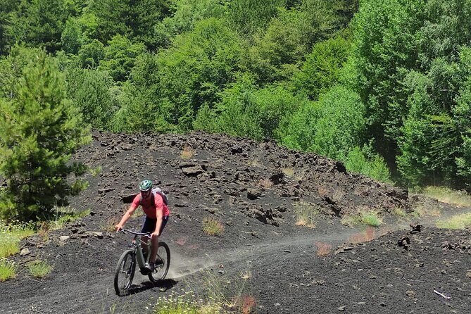 Mount Etna E-bike half-day tour - The Experience: What You Can Expect