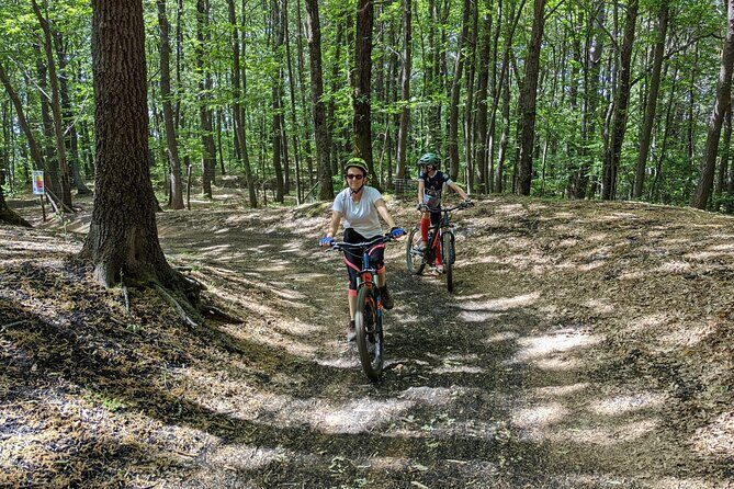 Mount Etna E-bike half-day tour - What Reviews Tell Us
