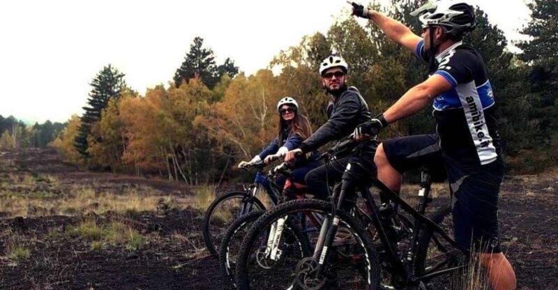 Mount Etna: Guided Mountain Bike Tour - Key Points