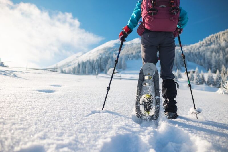 Mount Etna: Guided Snowshoeing Trekking Tour - Introduction: Why Consider a Snowshoeing Tour on Mount Etna?