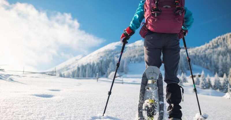 Mount Etna: Guided Snowshoeing Trekking Tour - The Itinerary in Detail