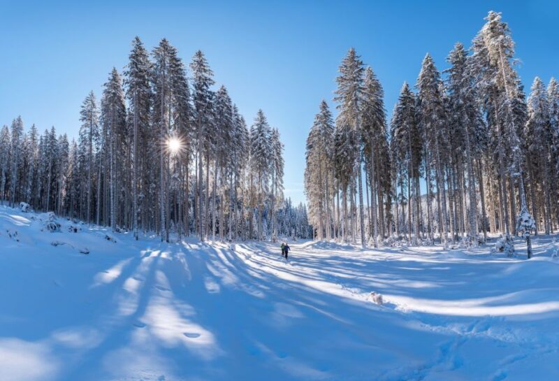 Mount Etna: Guided Snowshoeing Trekking Tour - Price and Value: Is It Worth It?