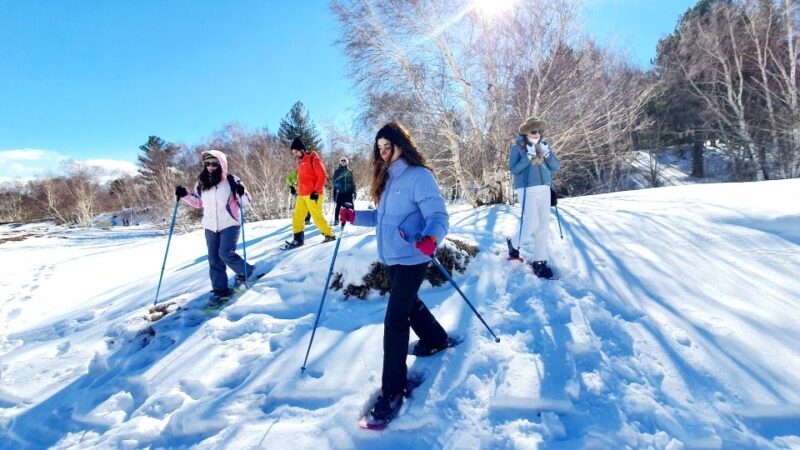 Mount Etna: Guided Snowshoeing Trekking Tour - Important Practical Details
