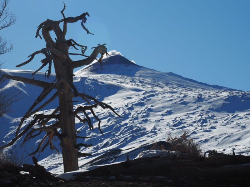 Mount Etna: Trek to the Craters of The 2002 Eruption - What Makes This Tour Valuable?