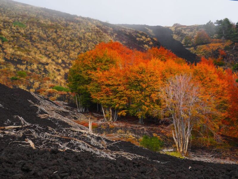 Mount Etna: Trek to the Craters of The 2002 Eruption - Practical Details and Tips
