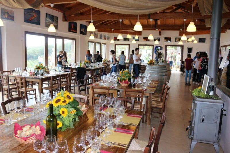 Mount Etna: Winery Tour and Tasting - Key Points