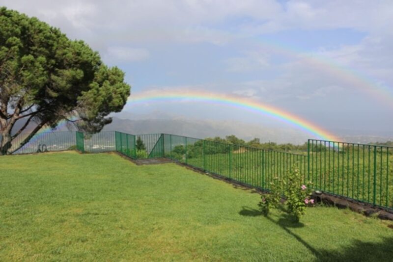 Mount Etna: Winery Tour and Tasting - Practical Considerations and Tips