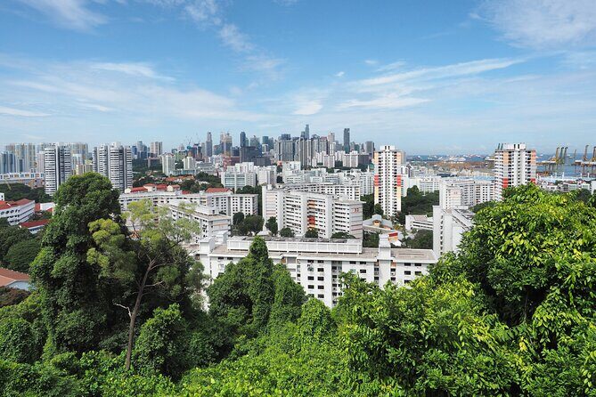 Mount Faber, Henderson Waves and Southern Ridges Tour - What’s the Tour All About?