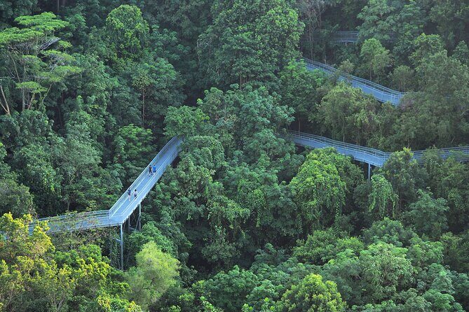 Mount Faber, Henderson Waves and Southern Ridges Tour - The Guides Make All the Difference
