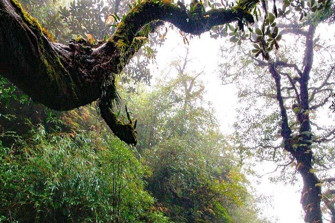 Mount Fansipan 2 Days Trek - FAQs