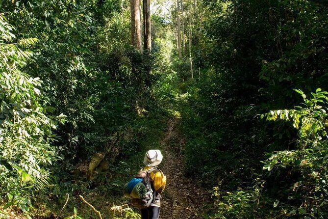 Mount Fansipan 2 Days Trek  Roof of Indochina - An In-Depth Look at the Fansipan Trek Experience
