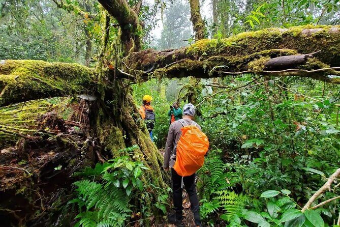 Mount Fansipan 2 Days Trek  Roof of Indochina - The Guides and Reviews
