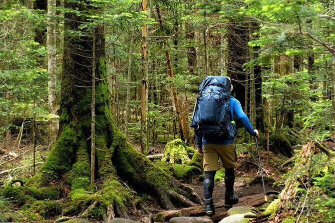 Mount Fansipan 2 Days Trek  Roof of Indochina - Practical Tips for Potential Participants