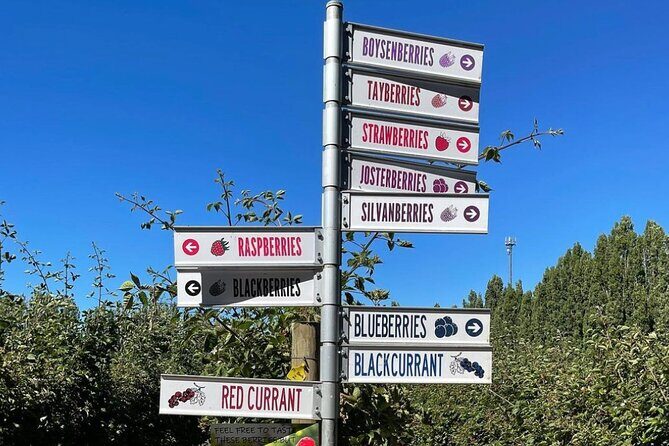 Mount Field And The Derwent Tasting Trail - The Sum Up: Is It Worth It?