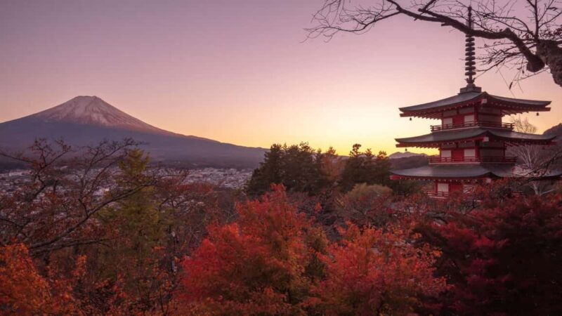 Mount Fuji 1-Day Trip: the Hottest Photography Tour - Practical Details and Value