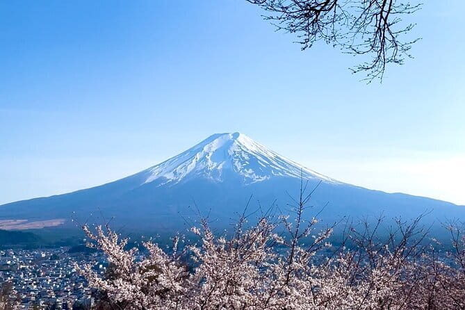 Mount Fuji Adventure Tour from Tokyo with English Guide - Why Choose This Tour?