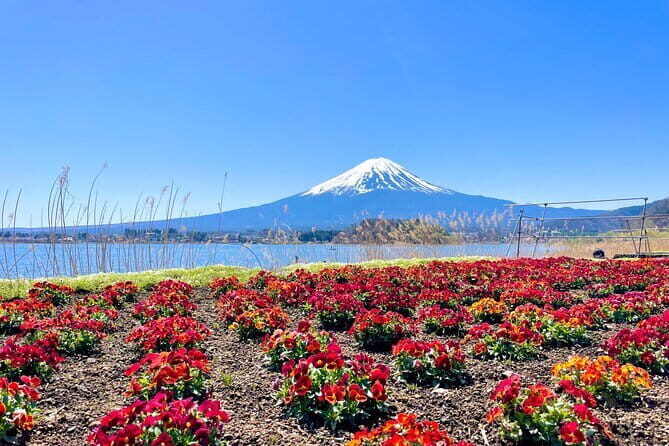 Mount Fuji Adventure Tour from Tokyo with English Guide - Who Will Love This Tour?