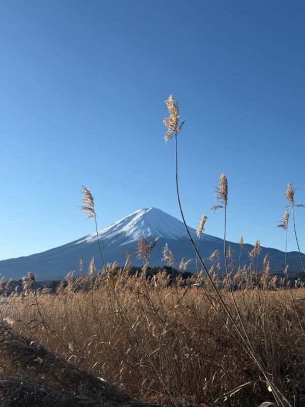 Mount Fuji Adventures Private English Customized Tour - What Sets This Tour Apart?