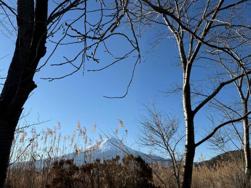 Mount Fuji Adventures Private English Customized Tour - FAQ