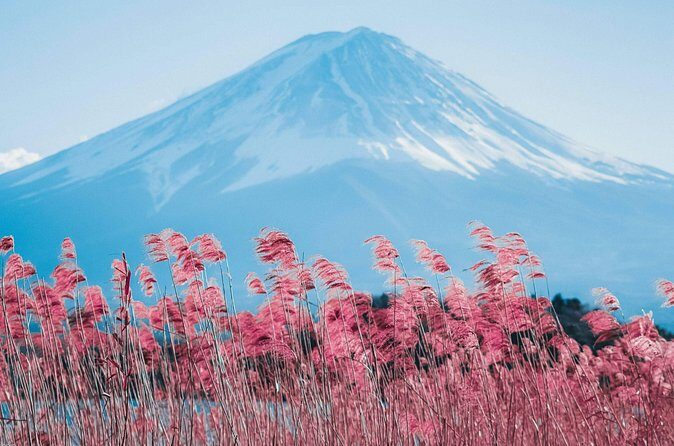 Mount Fuji and Gotemba Outlets Adventure Day Tour - Final Thoughts: Is This Tour Right for You?