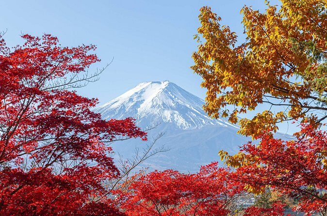 Mount Fuji and Gotemba Outlets Adventure Day Tour - FAQ