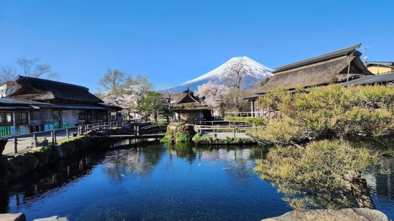 Mount Fuji and Hakone Day tour with English speaking Drivers - Key Points