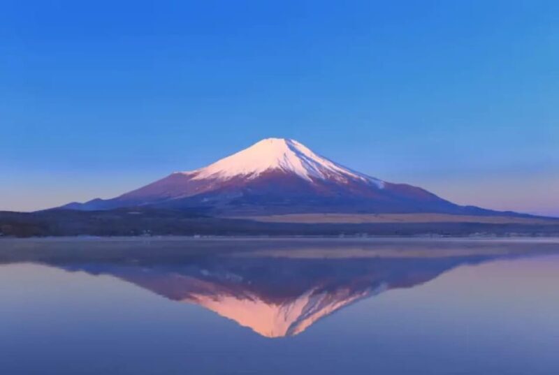 Mount Fuji and Hakone Day tour with English speaking Drivers - Convenience from Start to Finish
