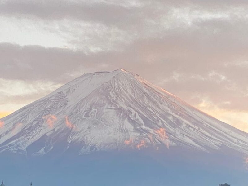 Mount fuji and Hakone day tour with English speaking guide - Introduction: A Tailored Escape from Tokyo