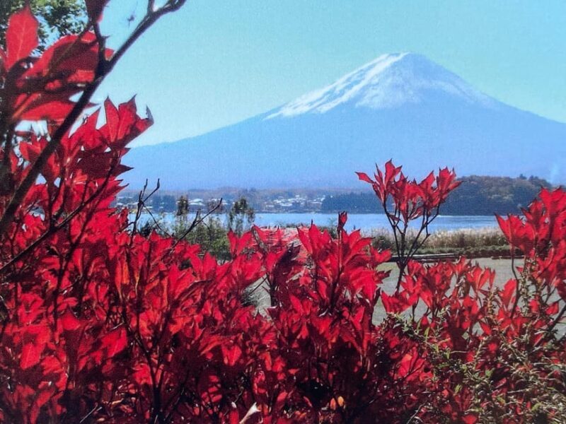 Mount fuji and Hakone day tour with English speaking guide - FAQ