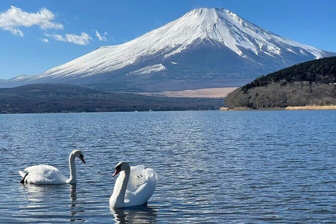 Mount Fuji and Hakone Day Trip with Ropeway Ride - The Sum Up