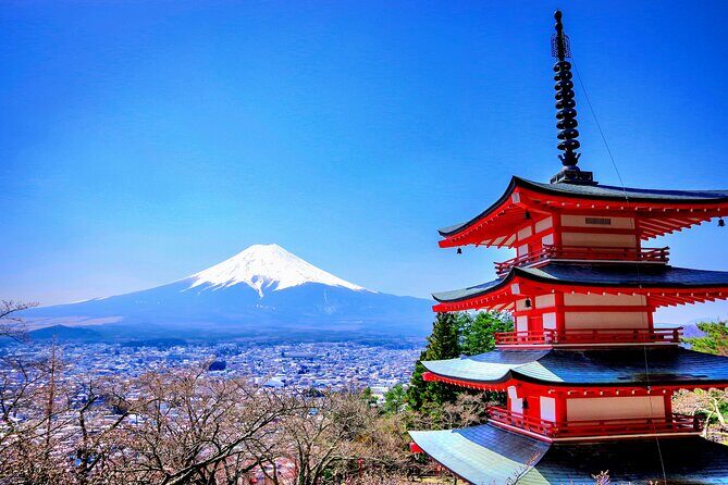 Mount fuji and Hakone Full day private sightseeing tour - Key Points