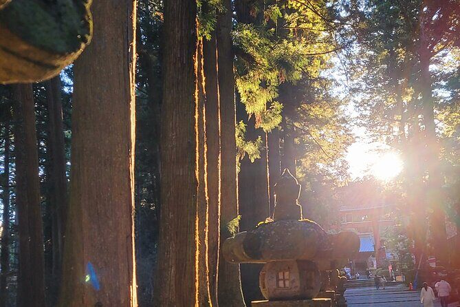 Mount fuji and Hakone Full day private sightseeing tour - What Travelers Say